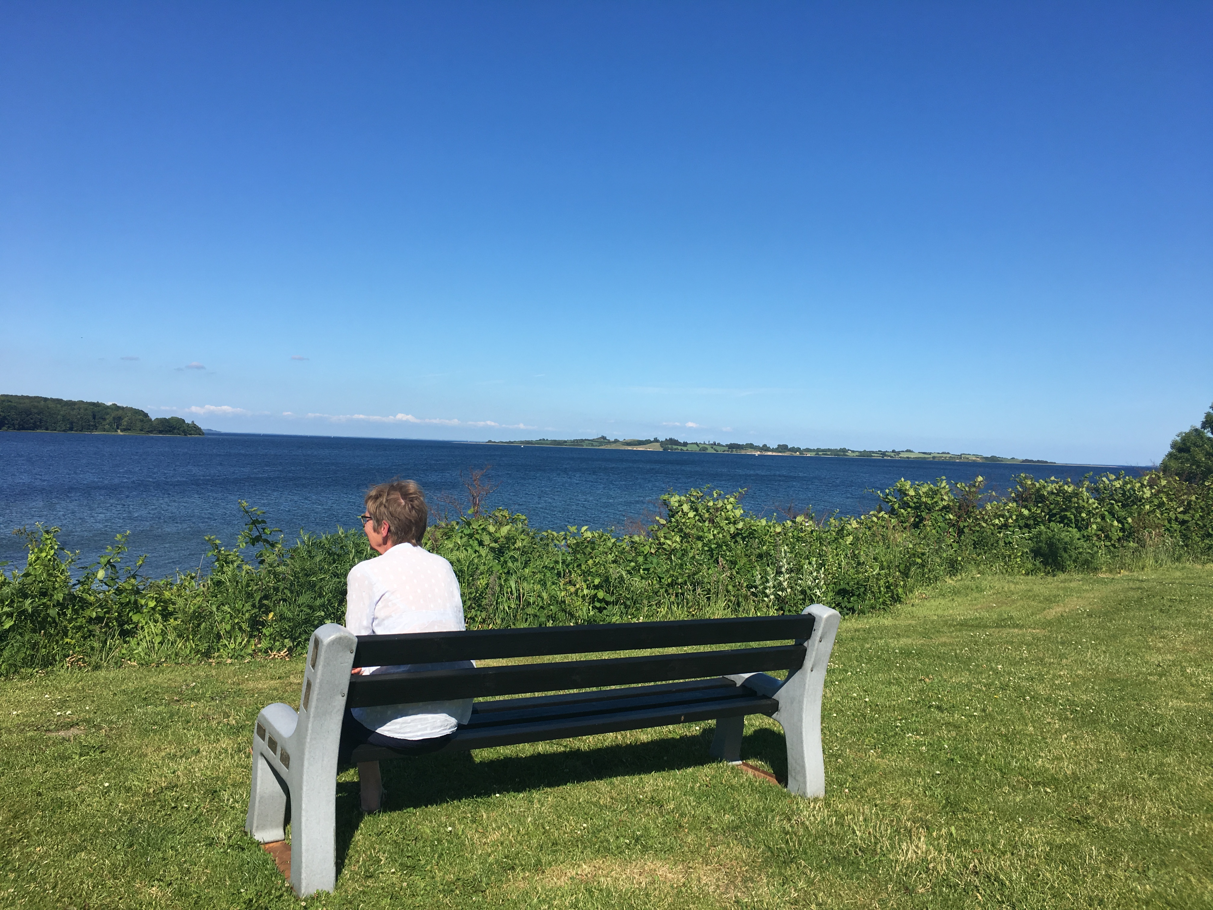 Campingplads med havudsigt & WIFI | Sandskaer Strandcamping